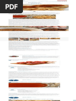 Weekly Kitchen Inspection Checklist | PDF | Kitchen | Home