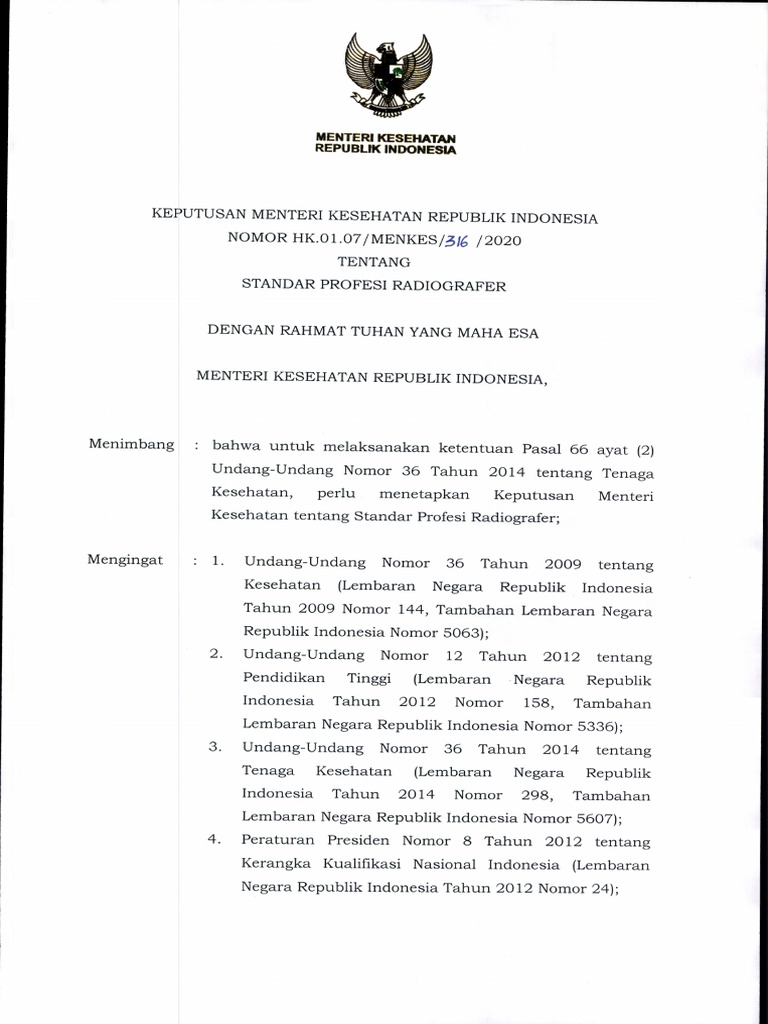 KMK No. 316 TH 2020 TTG Standar Profesi Radiografer | PDF