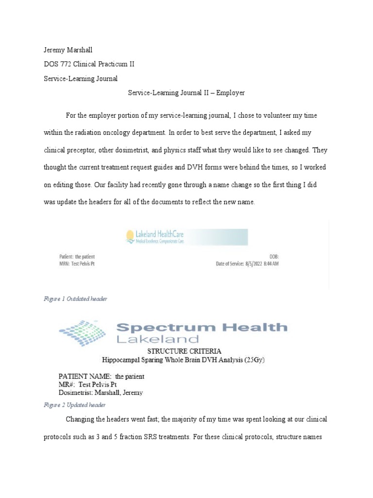 Service Learning Journal | Download Free PDF | Service Learning