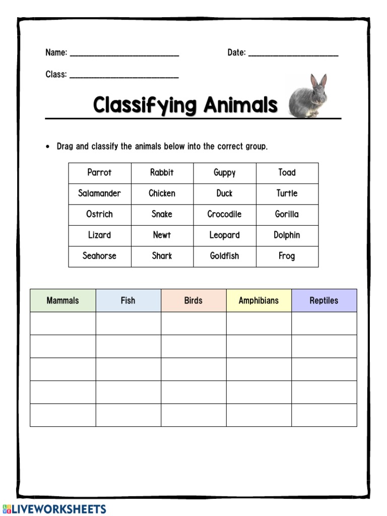 Classifying Animals: A Document Sorting Common Pets and Wildlife into ...