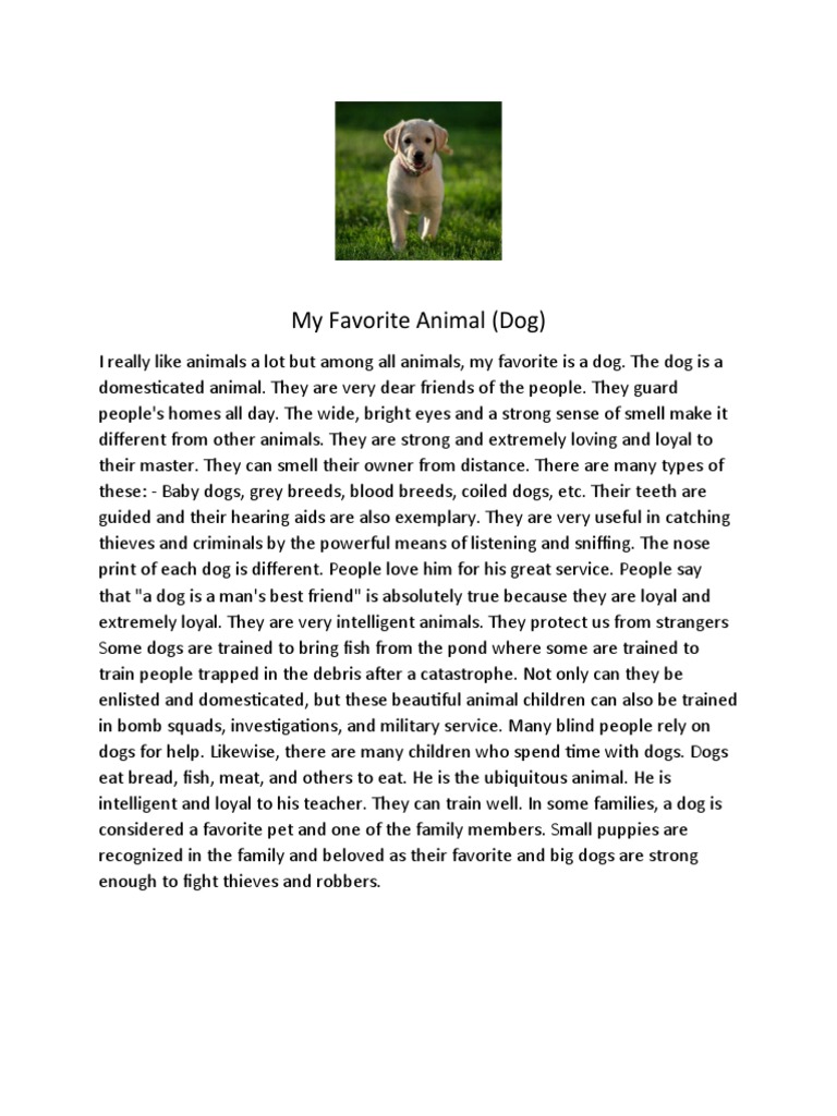 My Favorite Animal | PDF | Home & Garden