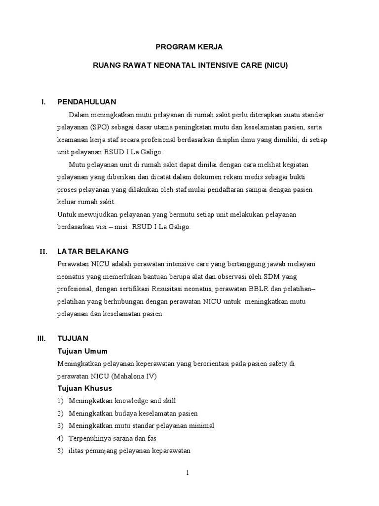 Program Kerja Unit Nicu - Compress95 | PDF