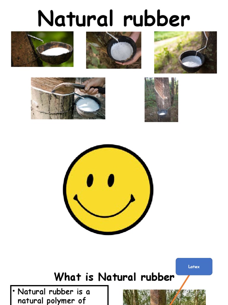 Natural Rubber | PDF