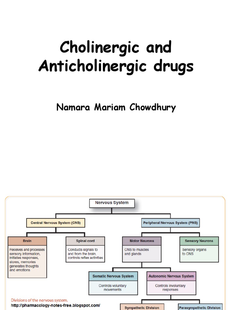 Cholinergic Anticholinergic Drugs | PDF | Acetylcholine | Neuromuscular ...