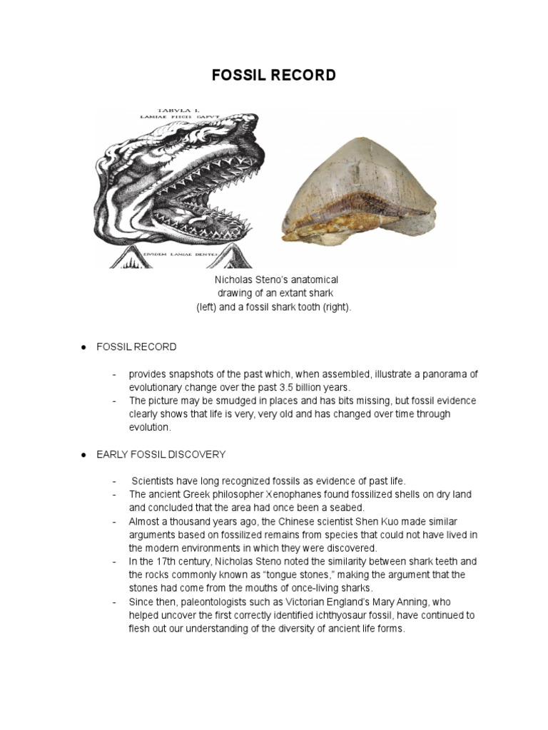Fossil Record | PDF | Fossil | Paleontology