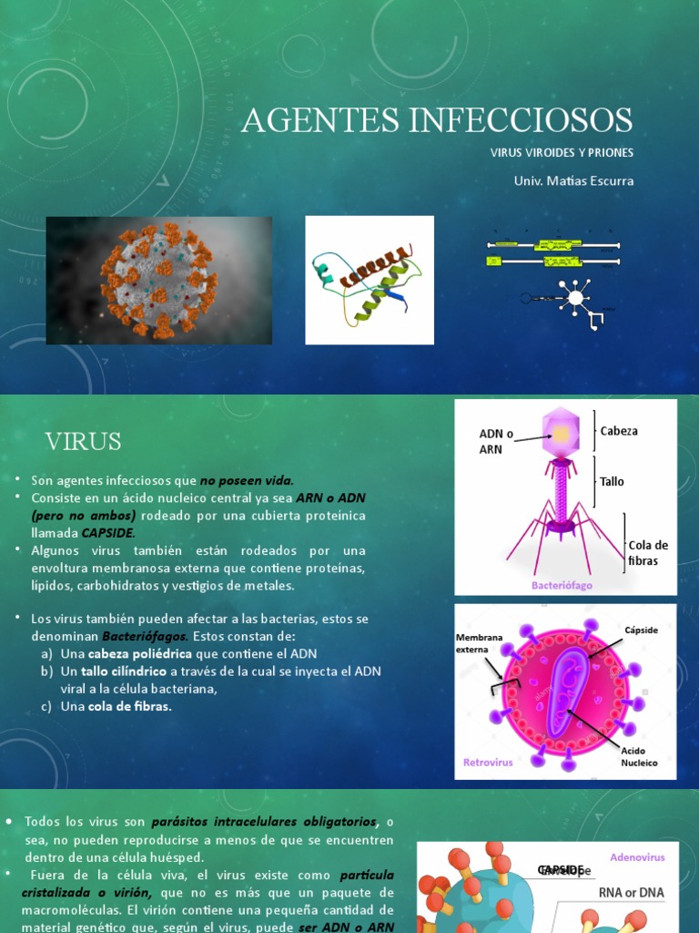 Agentes Infecciosos | PDF | Virus | Adn