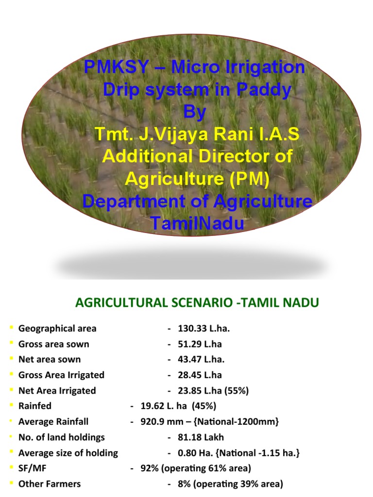 PMKSY - Micro Irrigation Drip System in Paddy By: Tmt. J.Vijaya Rani I ...