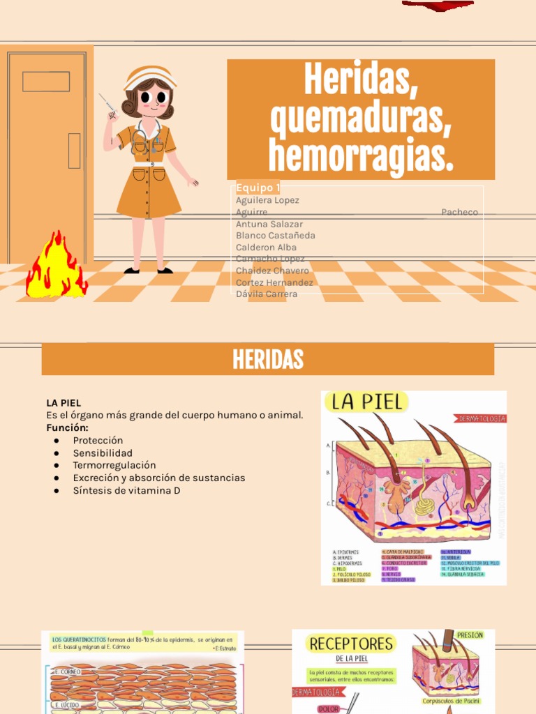 Heridas, Quemaduras, Hemorragias | Descargar gratis PDF | Quemar | Herida