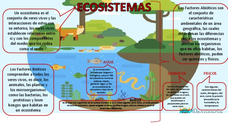 Infografia Ecosistemas | PDF | Entorno natural | Agua