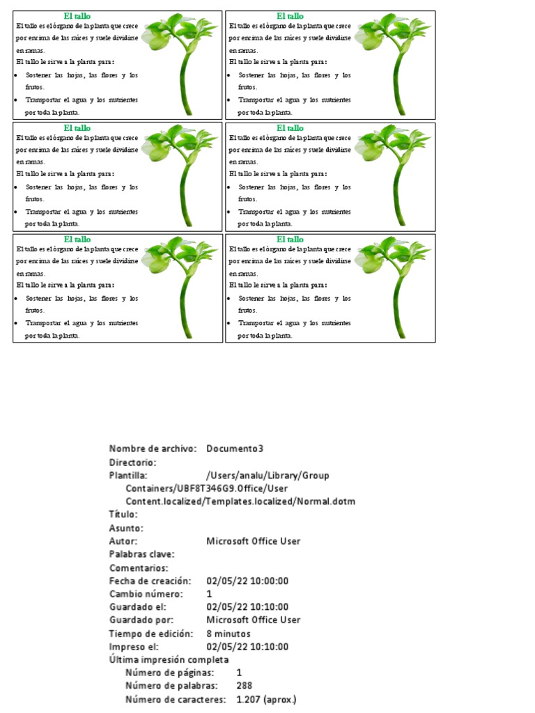Funcion Del Tallo | PDF | Tallo de la planta | Plantas