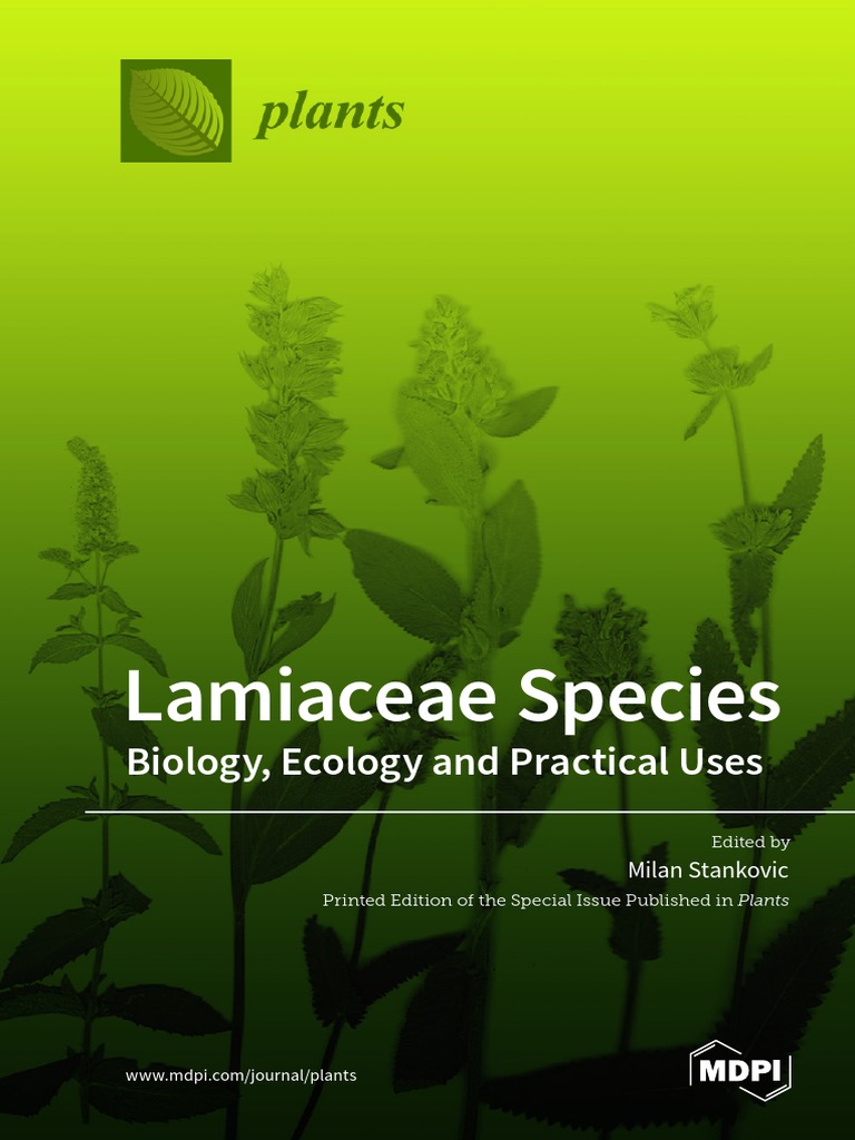 Lamiaceae Species: Biology, Ecology and Practical Uses | PDF | Leaf ...