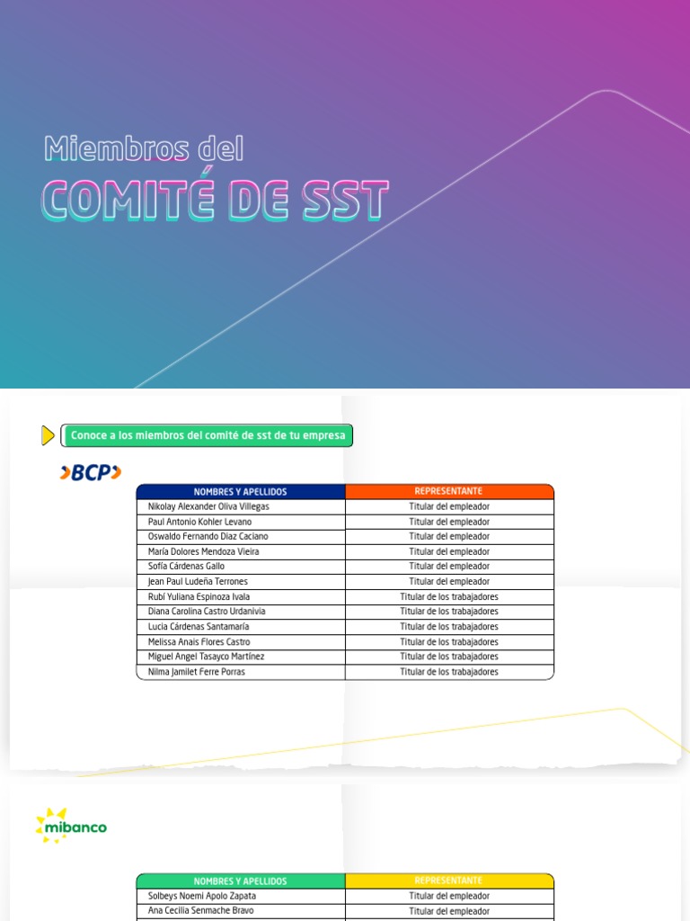 Miembros Del Comité de SST | PDF
