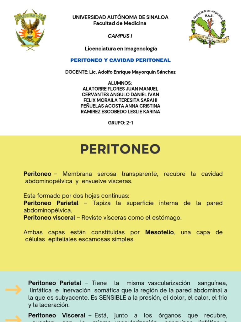 Exposición Peritoneo | PDF | Peritoneo | Especialidades Medicas