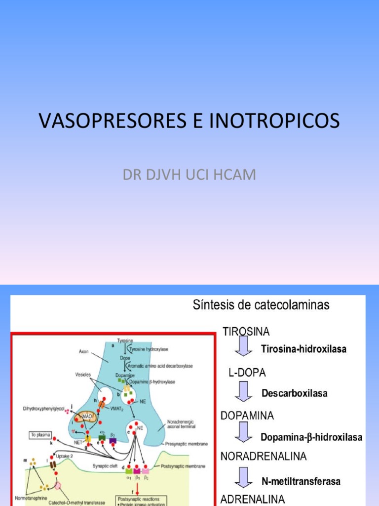 Vasopresores e Inotropicos Dr Villareal | PDF | Especialidades Medicas ...