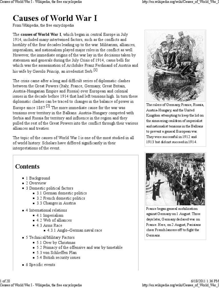 Causes of World War I Explained | PDF | Military | International Relations