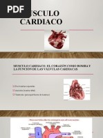 Resumen Capitulo 9 Fisiología de Guyton | PDF | Potencial de acción | Ventrículo (corazón)