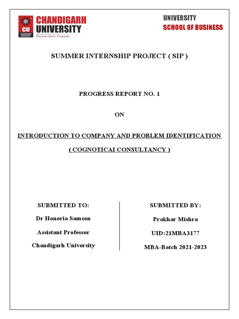 Summer Internship Project (Sip) : School of Business | PDF | Consultant ...