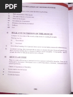 Understanding Pyramidal Weakness | PDF | Anatomical Terms Of Motion ...