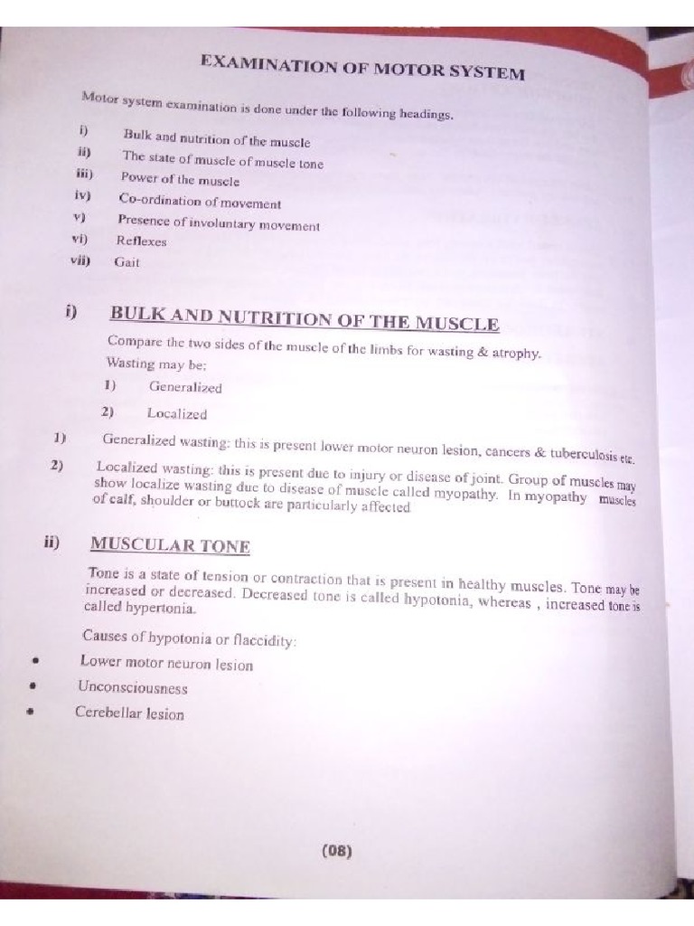 Motor System Examination (Physio Lab) | PDF