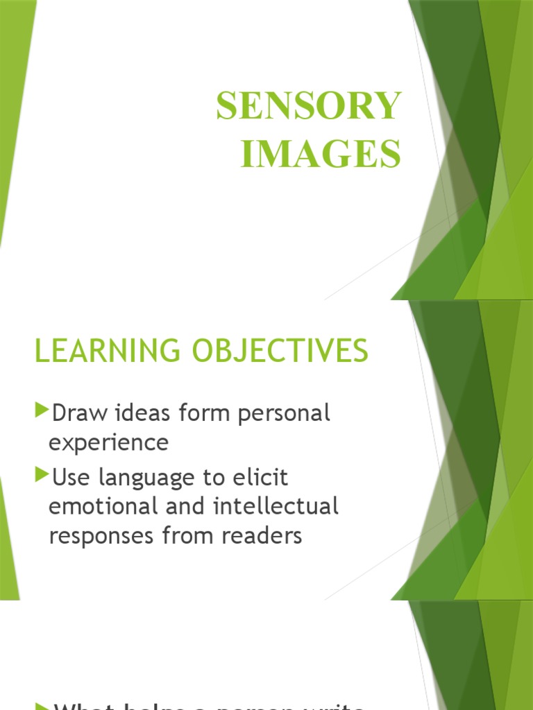 Sensory Images | PDF