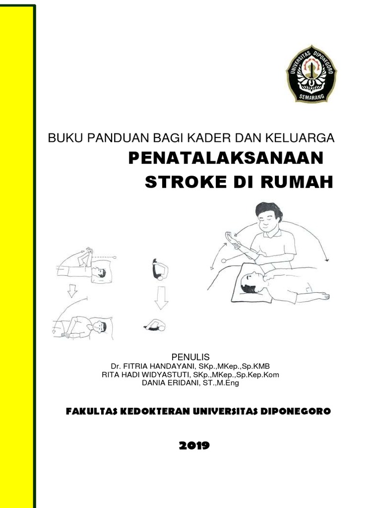 Buku Panduan Penatalaksanaan Stroke | PDF