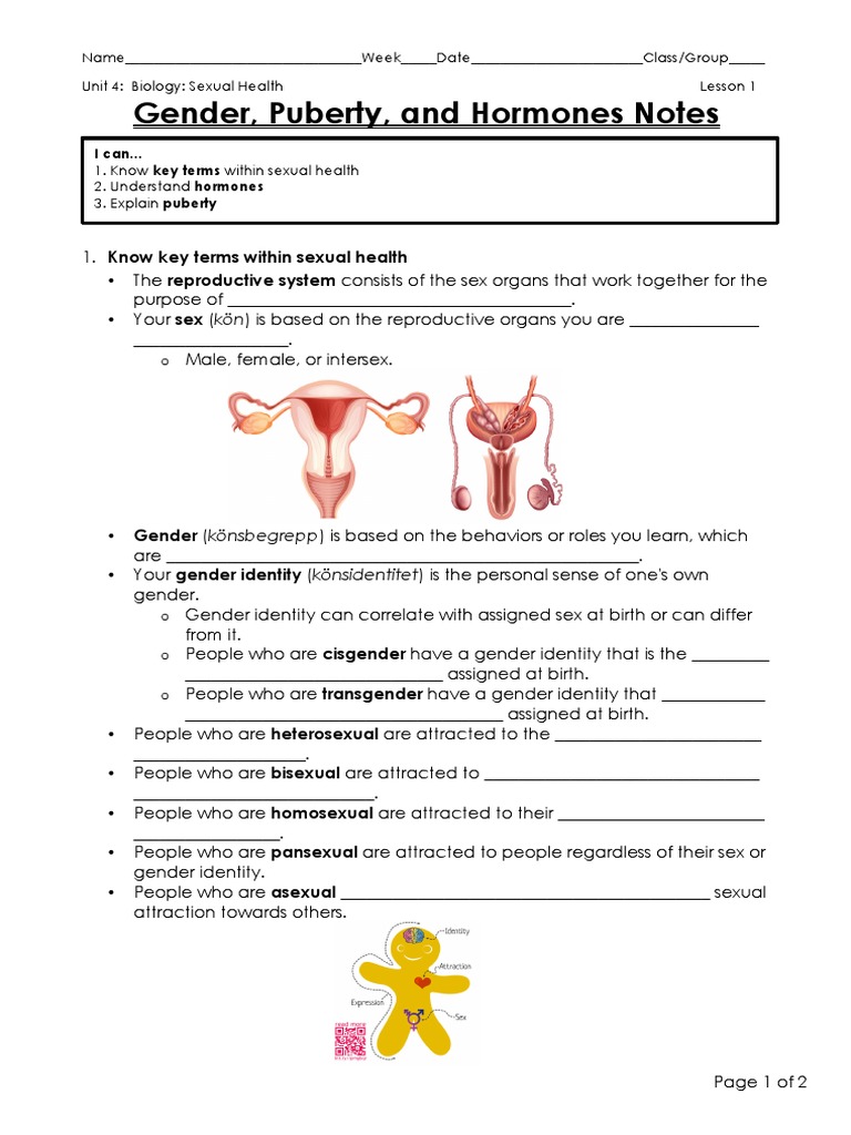 Gender, Puberty, and Hormones Notes | PDF | Gender Studies | Gender