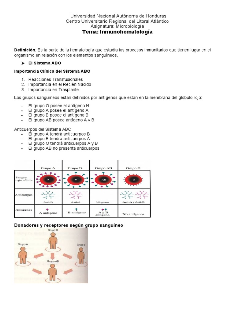 Inmunohematología: Sistema ABO y Rh | PDF | Tipo de sangre | Sangre