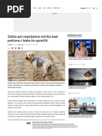 Radoje Domanovic - Vodja | PDF