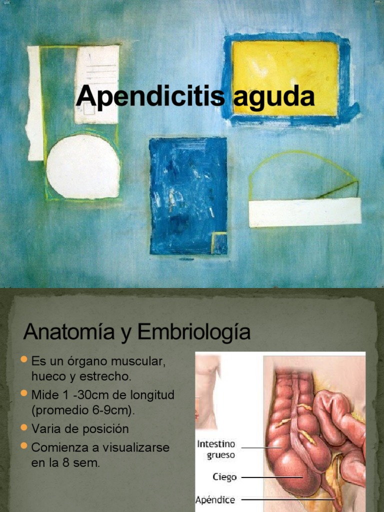 El apéndice: anatomía, fisiología, diagnóstico y tratamiento de la ...