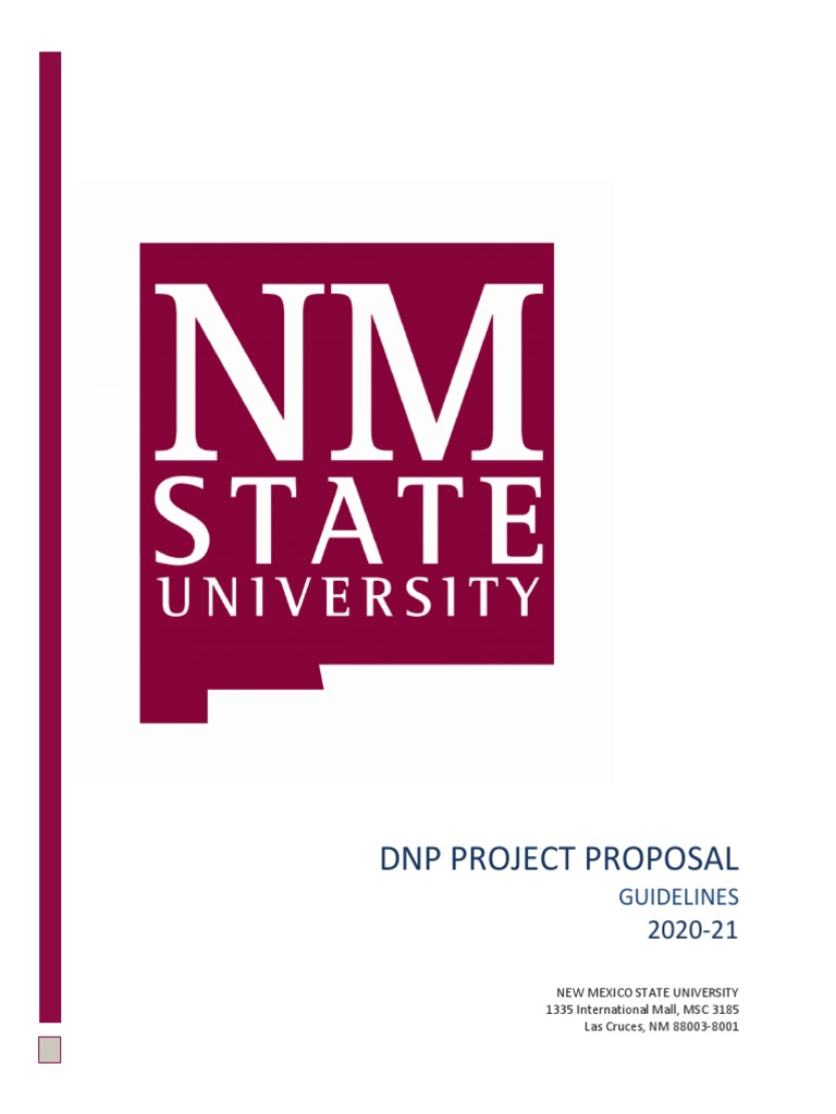 NMSU DNP Project Proposal Guidelines 2020-21 | PDF | Career & Growth | Art