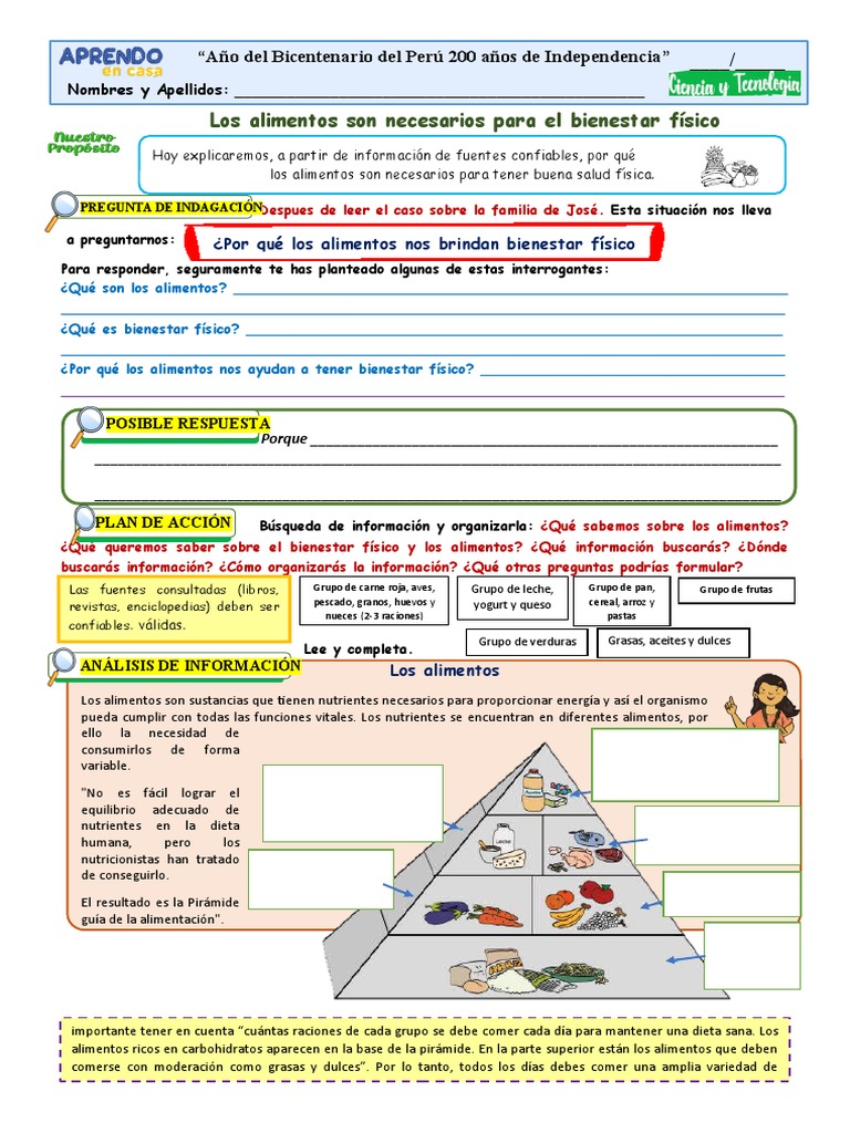 ACTIVIDAD Los Alimentos y La Salud | PDF | Alimentos | Dieta