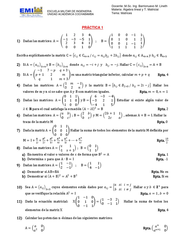 Práctica 1 - Matrices Ii - 2022 | PDF | Matriz (Matemáticas) | Álgebra