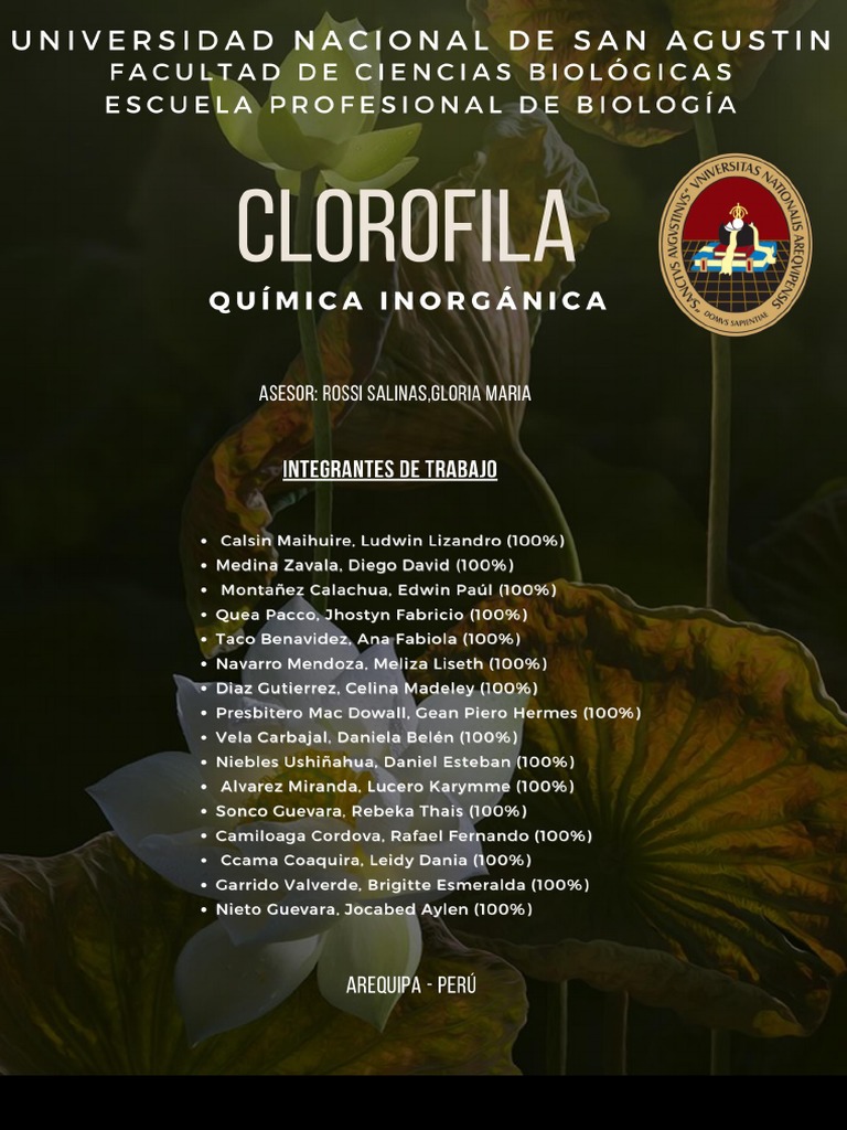 Estructura y Función de la Clorofila | PDF | Clorofila | Fotosíntesis