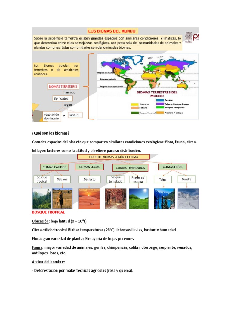 Biomas y Desarrollo Sostenible | Descargar gratis PDF | Entorno natural ...
