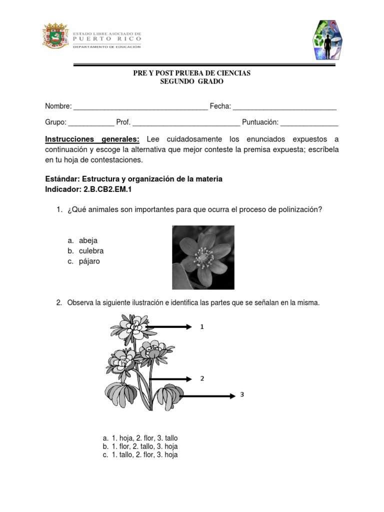 PRE Y POST PRUEBA DE CIENCIAS SEGUNDO GRADO. Nombre - Fecha - Grupo ...