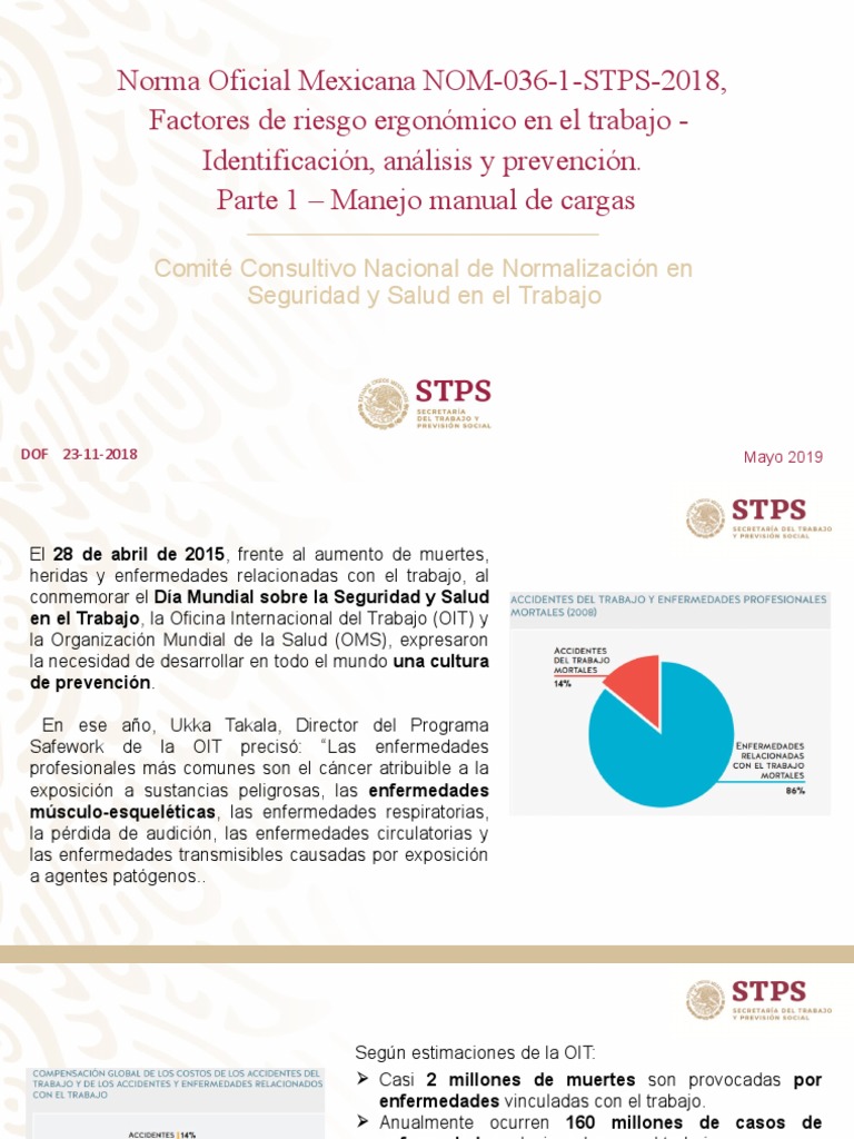 Nom 036 1 STPS 2018 | PDF | Factores humanos y ergonomía | Evaluación