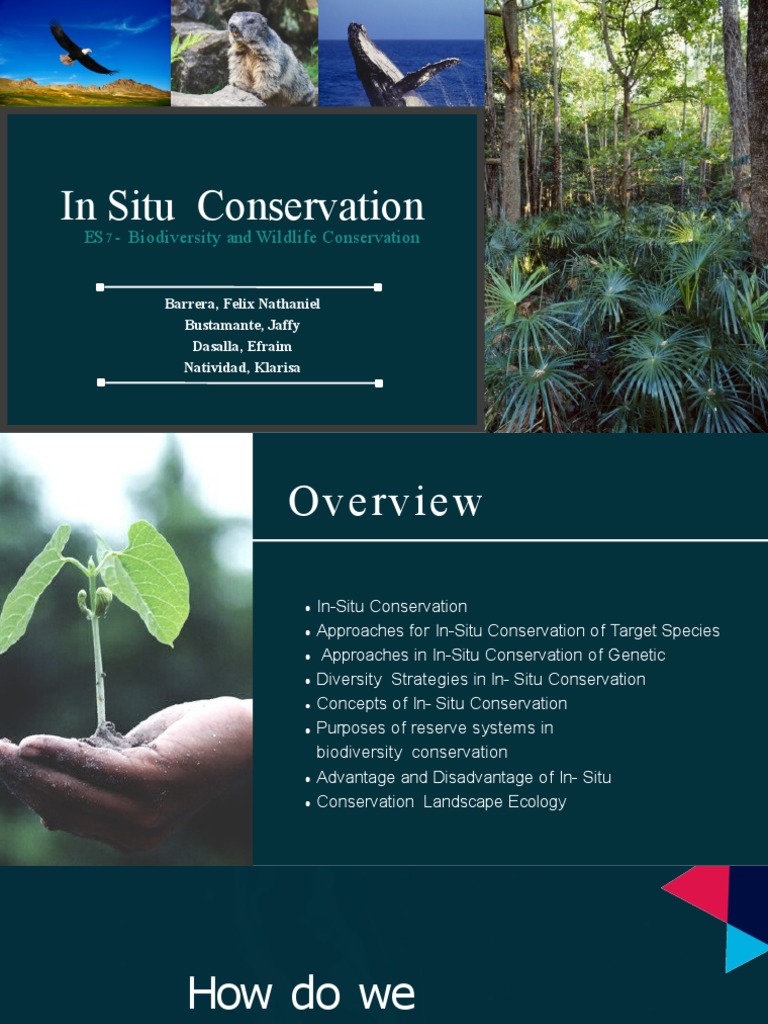 In Situ Conservation: ES - Biodiversity and Wildlife Conservation | PDF ...