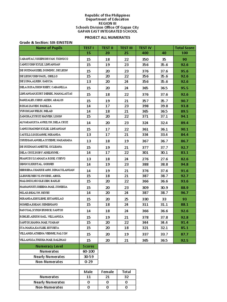 Grade 6 Numeracy Scores Report | PDF