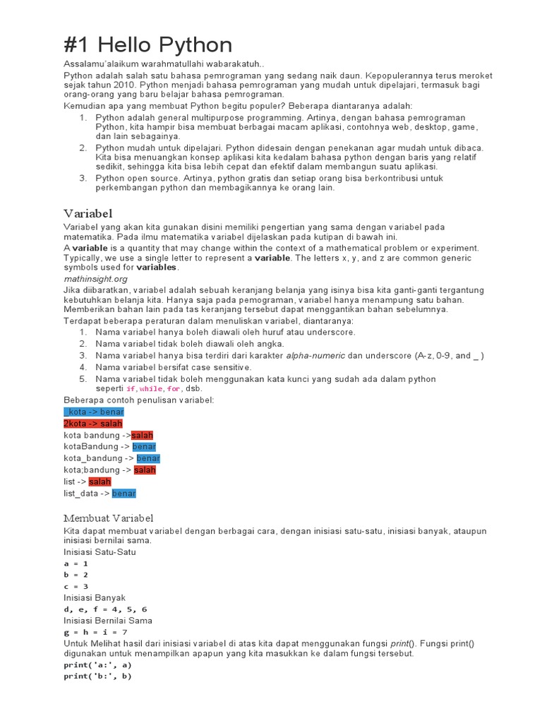 Materi Pekan 1 - Hello Python | PDF