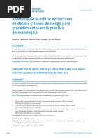 Anatomía de la región superciliar | PDF | Anatomía humana | Cabeza y ...