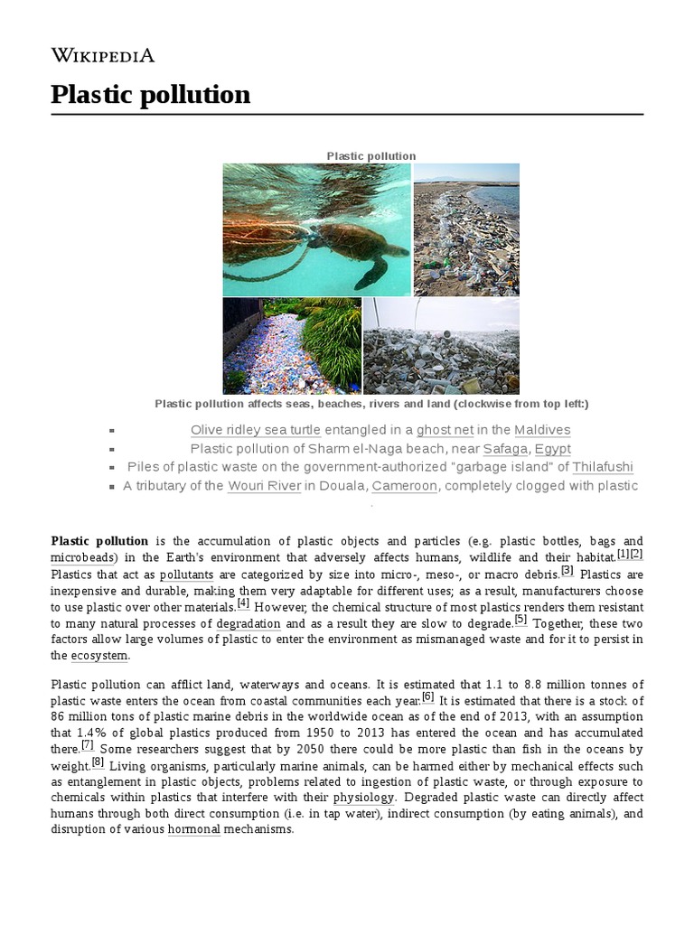 Plastic Pollution | PDF | Plastic | Seabed