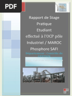 Organigramme Ocp Nouveau | PDF | Maroc | Business