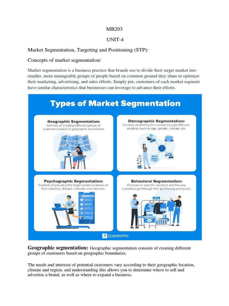 MB203 UNIT-4 Market Segmentation, Targeting and Positioning (STP ...