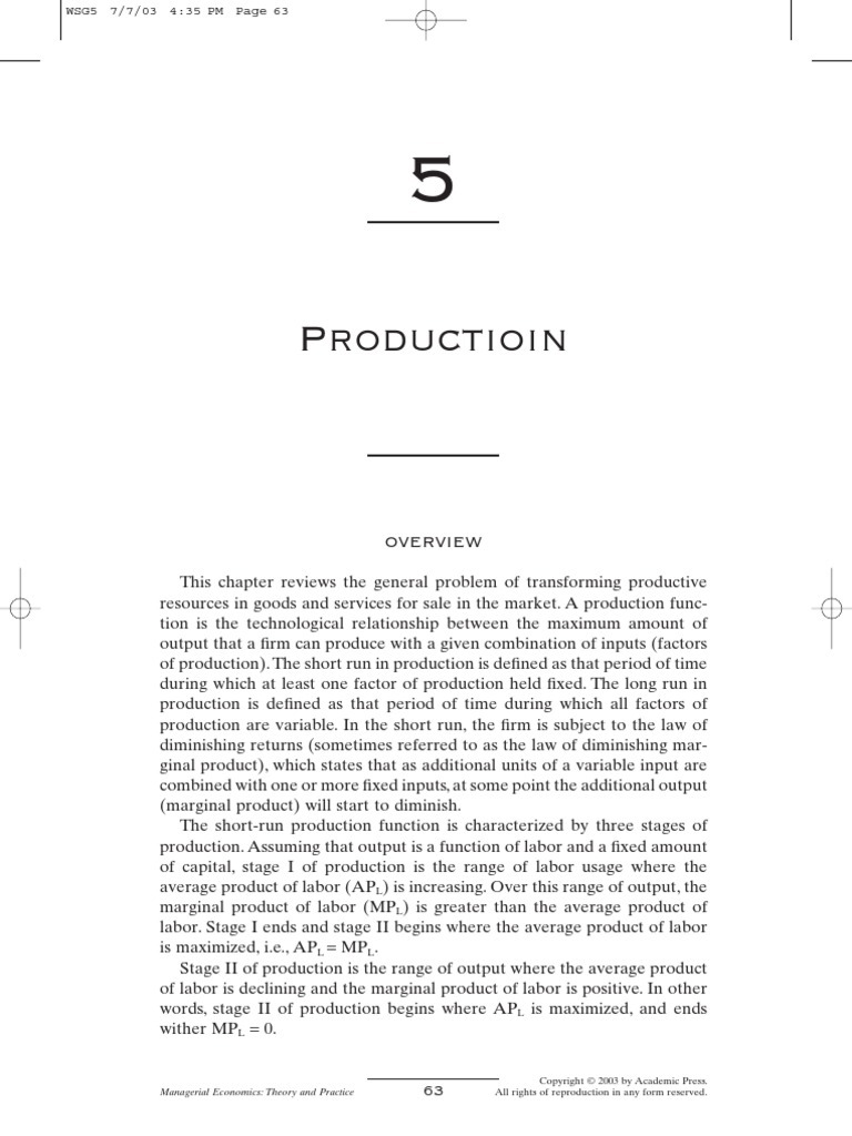 Production | PDF | Production Function | Long Run And Short Run