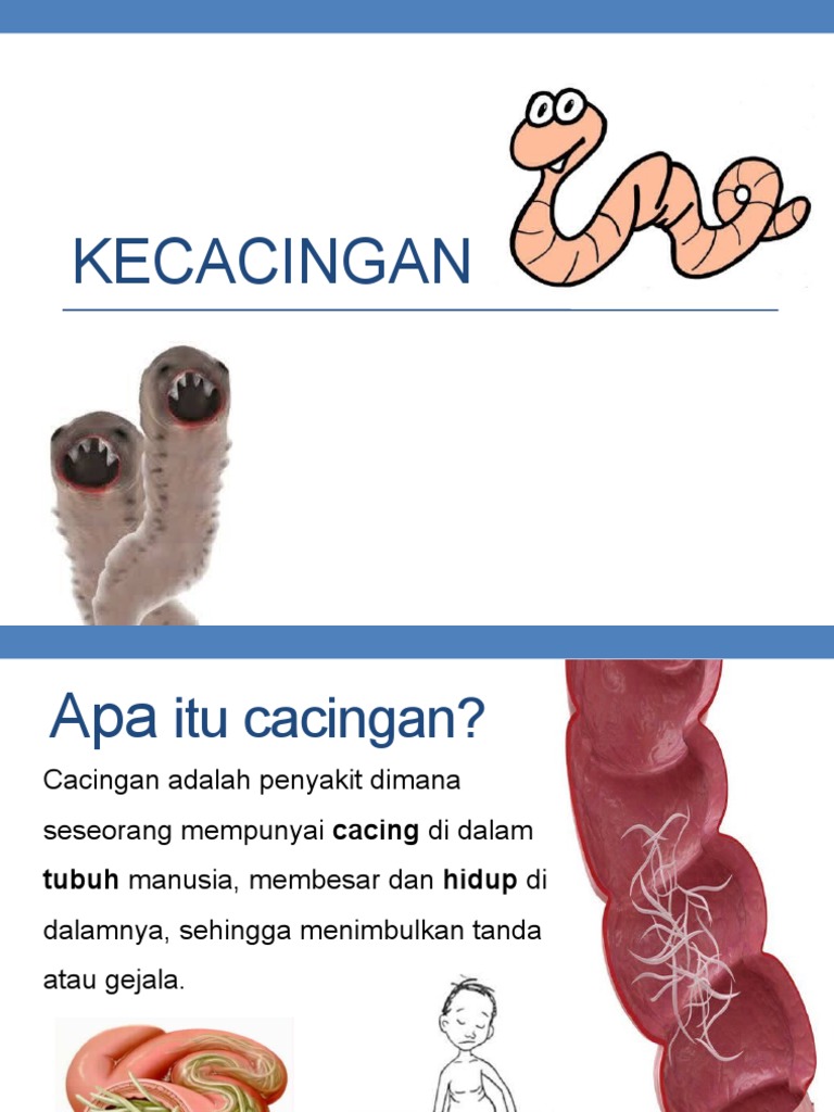 Penyuluhan Kecacingan | PDF