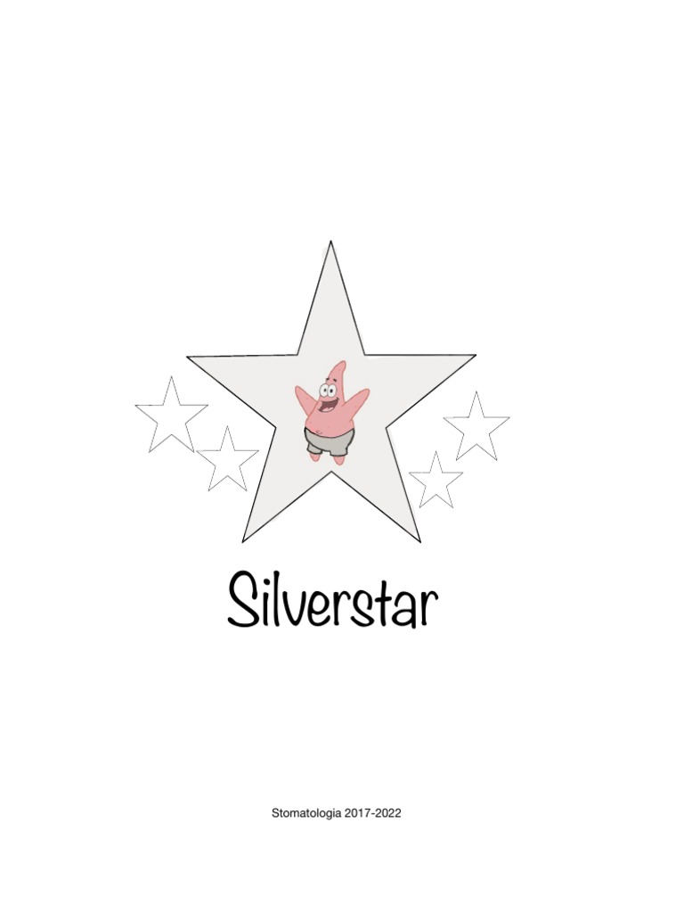 Silverstar | PDF