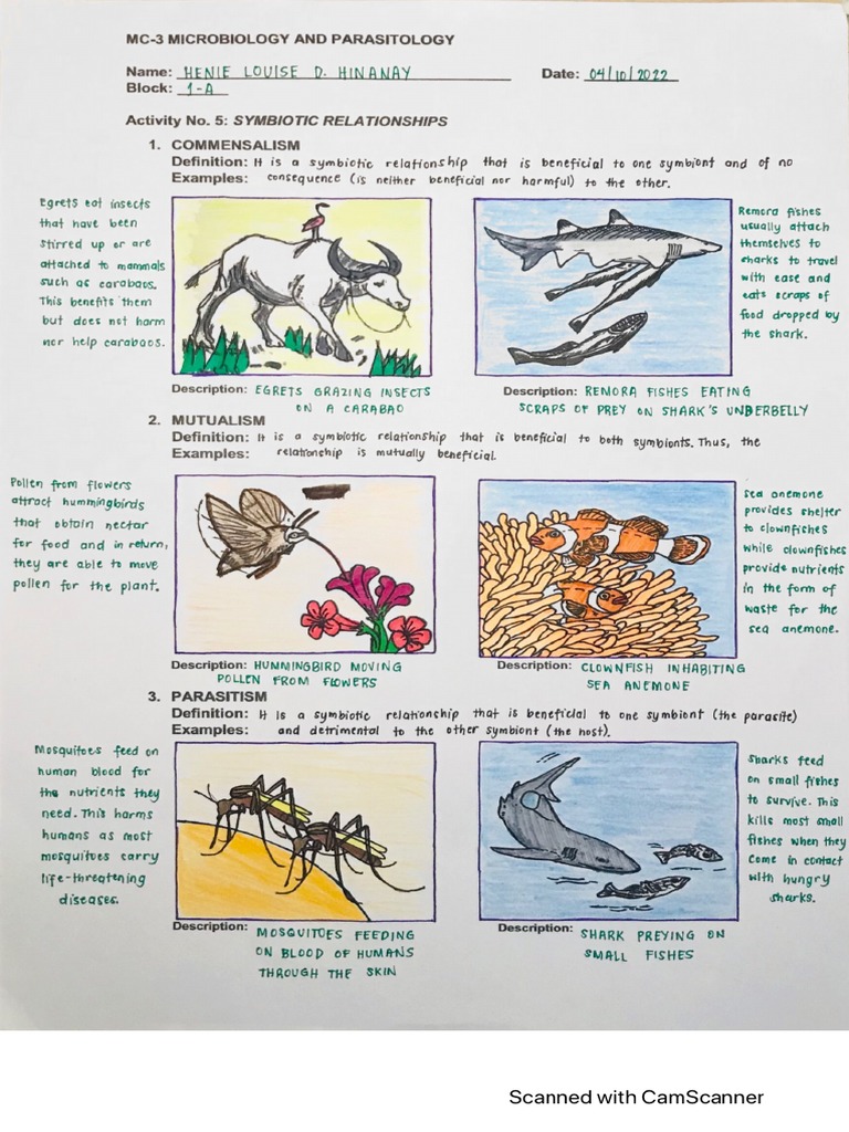 HINANAY - Activity 5 Symbiotic Relationships | PDF