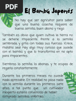 El Bambú Japonés Reflexión | PDF