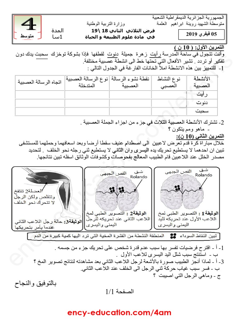 Sciences 4am19 2trim d7 | PDF