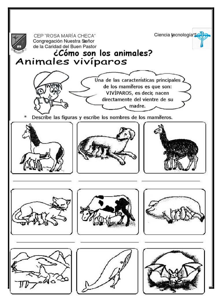 Ficha de trabajo sobre animales terrestres y acuáticos | PDF | Organismos